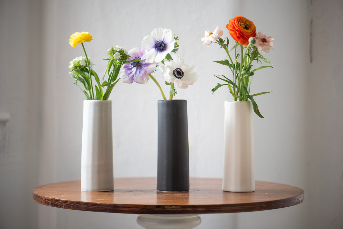 Current Promotions – Ember Collective